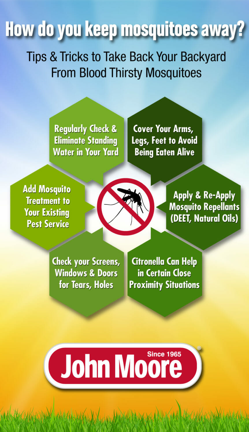How to Keep Mosquitos Away - John Moore Services
